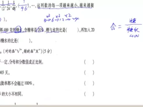 人教2013小升初六年级数学总复习(数与代数)