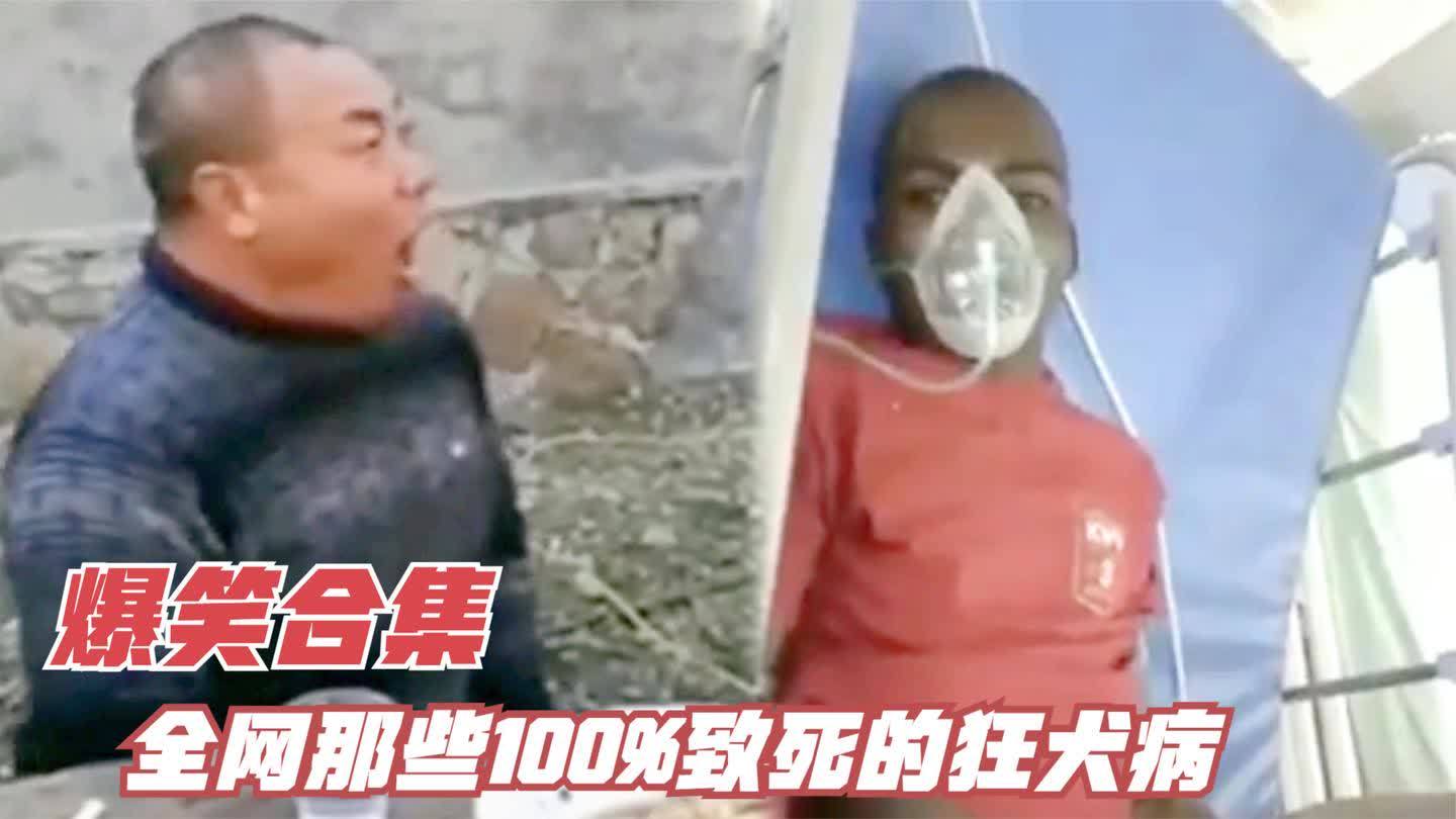 盘点那些100%致死的狂犬病毒:一旦发作治愈几乎为零,太心疼了!
