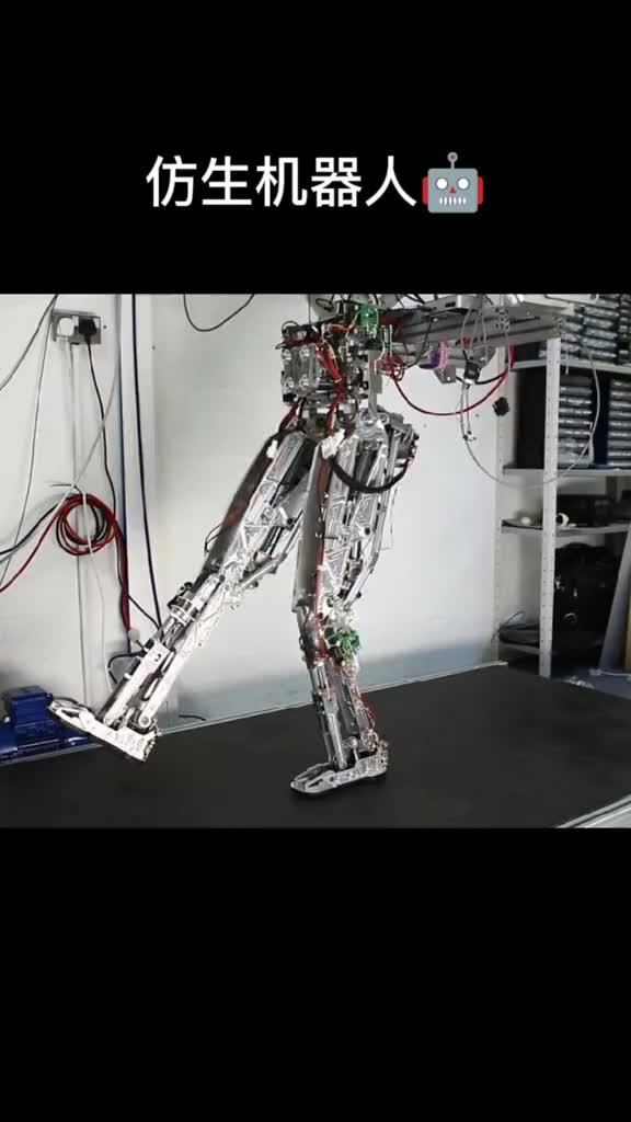 仿生机器人,我都没他灵活