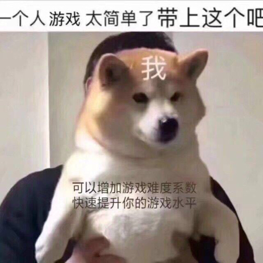 龙虾啊龙虾 