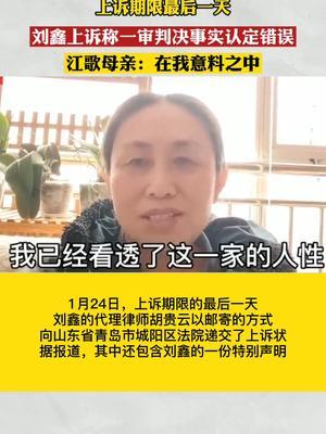刘鑫正式上诉称一审判决事实认定错误 江歌母亲:在我意料之中