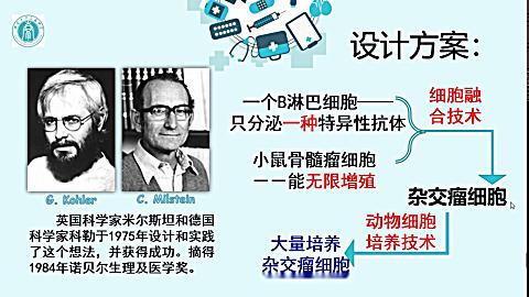 新型肺炎的检测与治疗+单克隆抗体的制备(录屏课)【王志伟 西南大学...