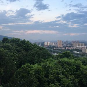 喜欢音乐的医生 