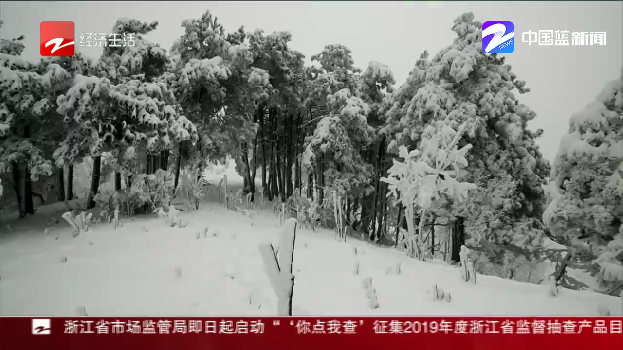 雪天网购蔬菜订单暴涨 卖家:没折扣不还价!