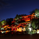 羽化自然动物说 