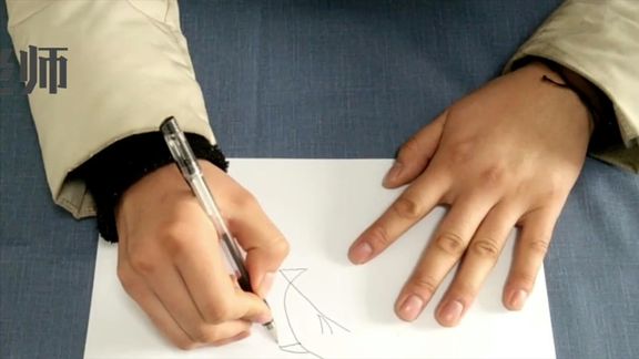 小朋友最喜欢的海豚,今天教你们怎么画