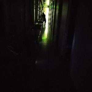 不是上班就是下班 