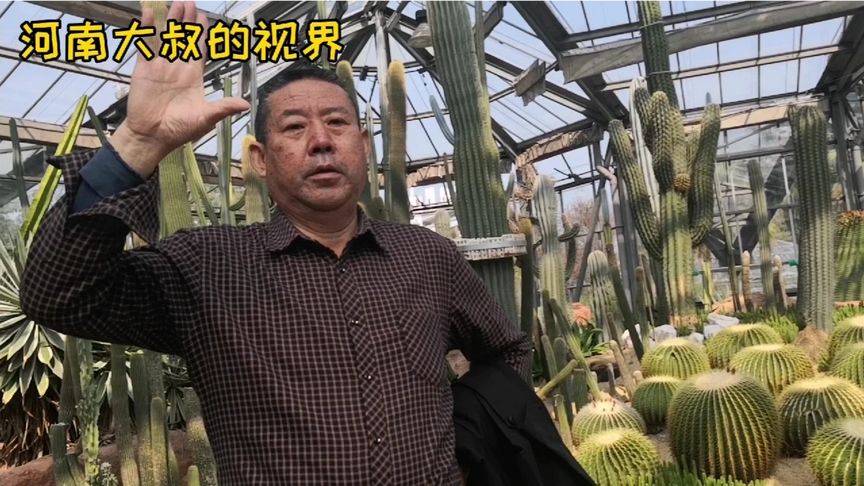 请随河南大叔的镜头游一游中科院华南植物园吧?