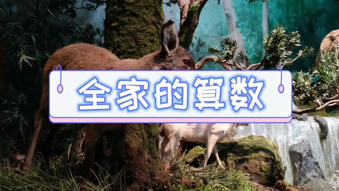 搞笑视频:爸爸算数不好,没想到精明的妈妈算数也不行,看后笑喷