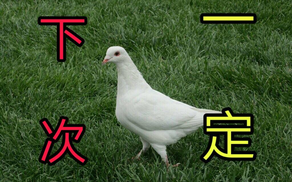 下 次 一 定 会 救 你 的