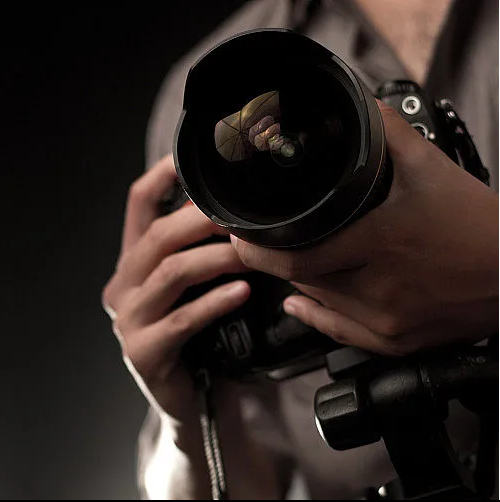 摄影后期小白嫖 