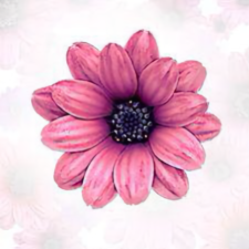 凝望江天一色无纤尘 