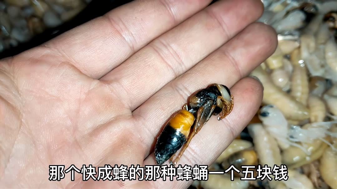 暴利行业200一套防护服就能干,两年纯收入几十万,是真的吗?