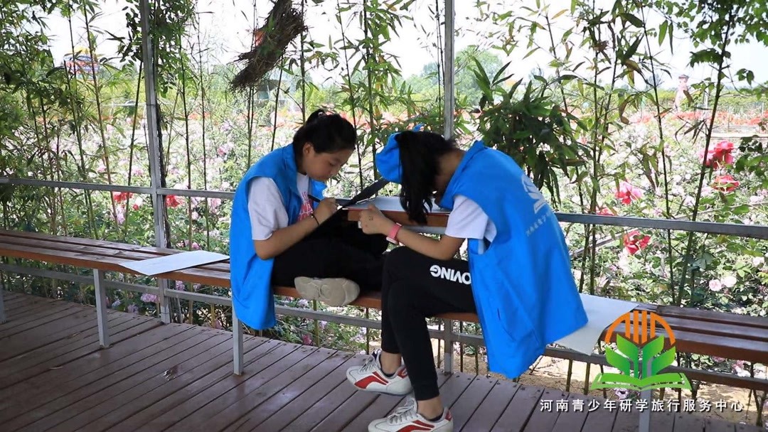 河南省青少年研学旅行服务中心活动-20190512童话美术研学写生