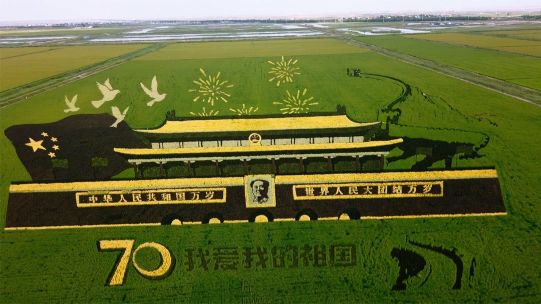 这是稻田不是画,真佩服现在劳动人民的智慧,收割的时候不心疼吗