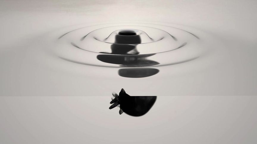 AE特效制作:水墨片头效果