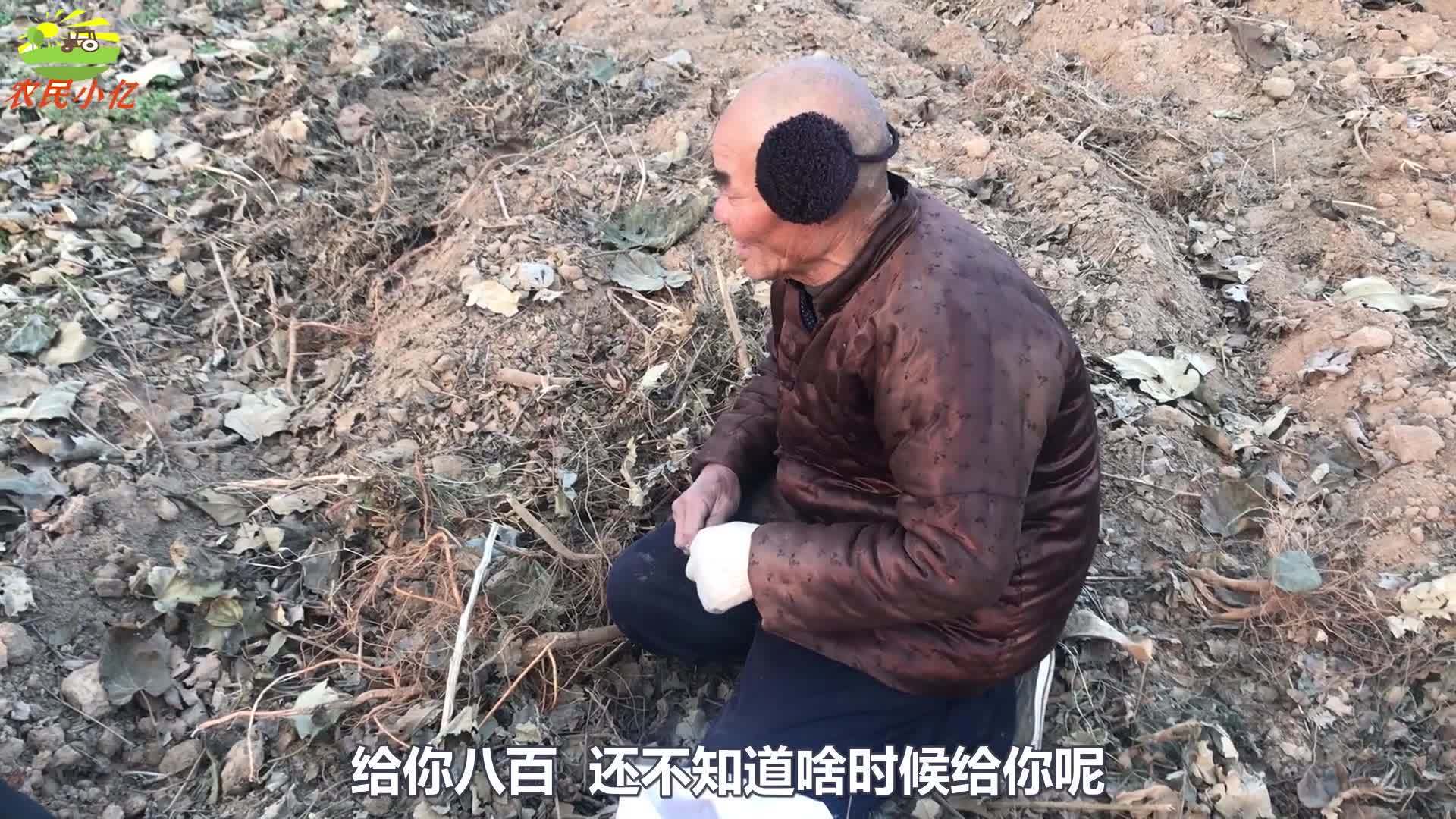 土地流转对农民说是好是坏?农村大爷一番话,说的太打脸了
