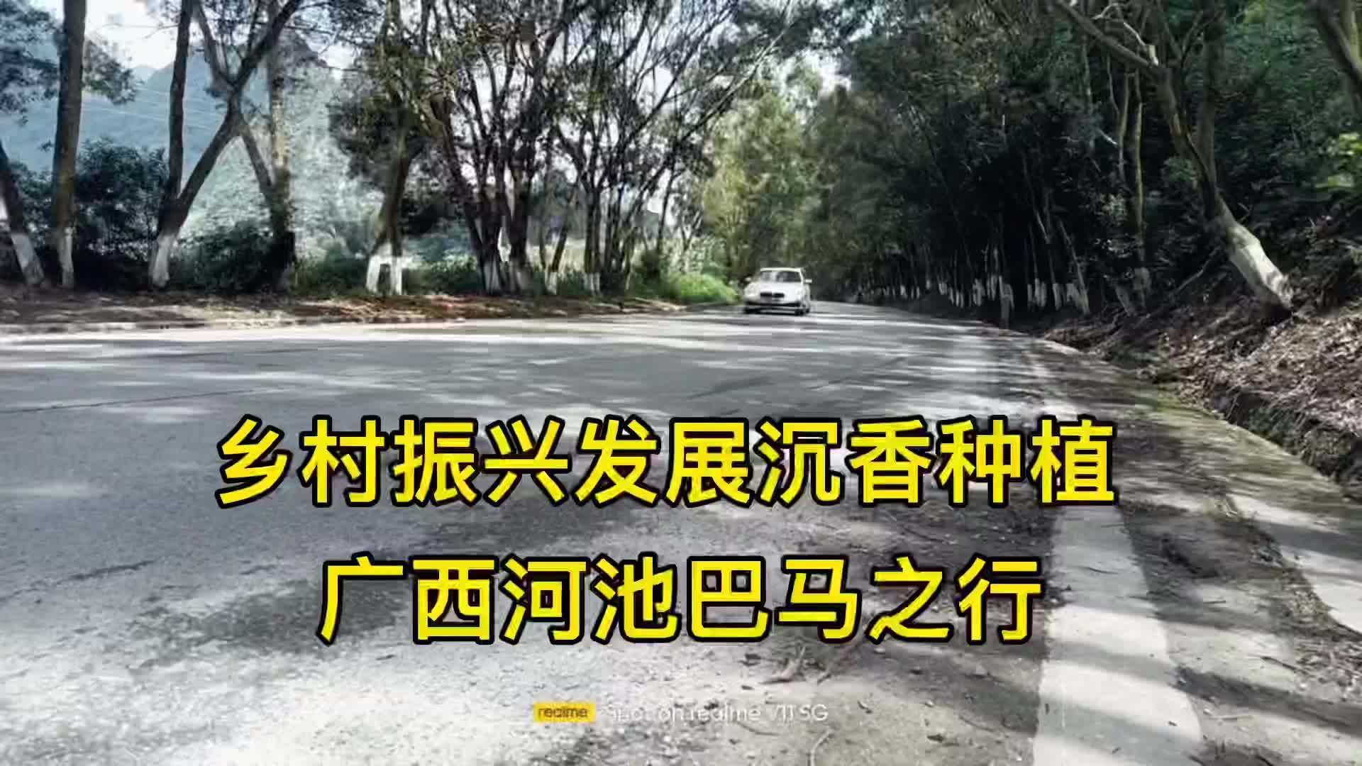 ...三农发展 #农业种植致富项目 #振兴乡村 #新农人计划2022返乡创业