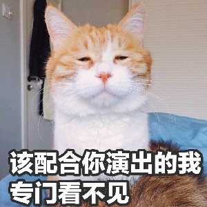 酒盒子恰恰 