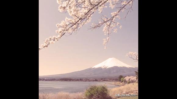 日本߇�߇�研究计划书