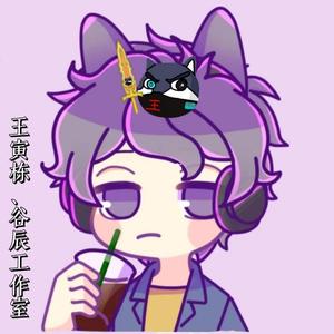 谷辰工作室王寅栋 