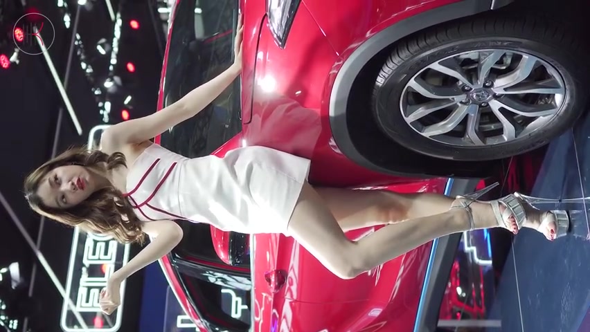 2019广州车展东风风光车模