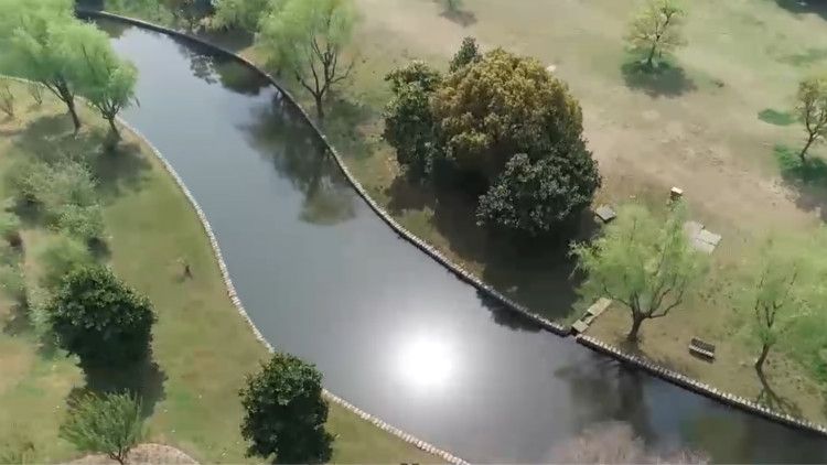 看·法|民法典:民事主体要节约资源 保护环境