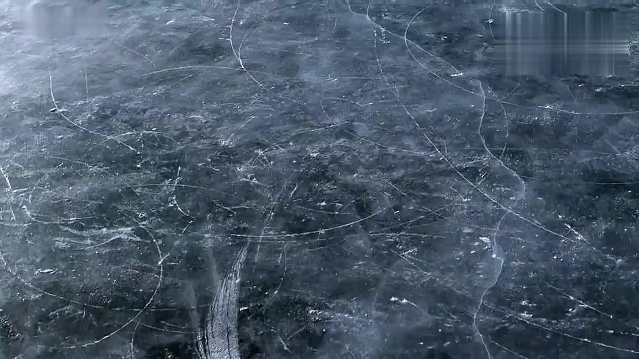 一起向未来!最新冬奥宣传片来了