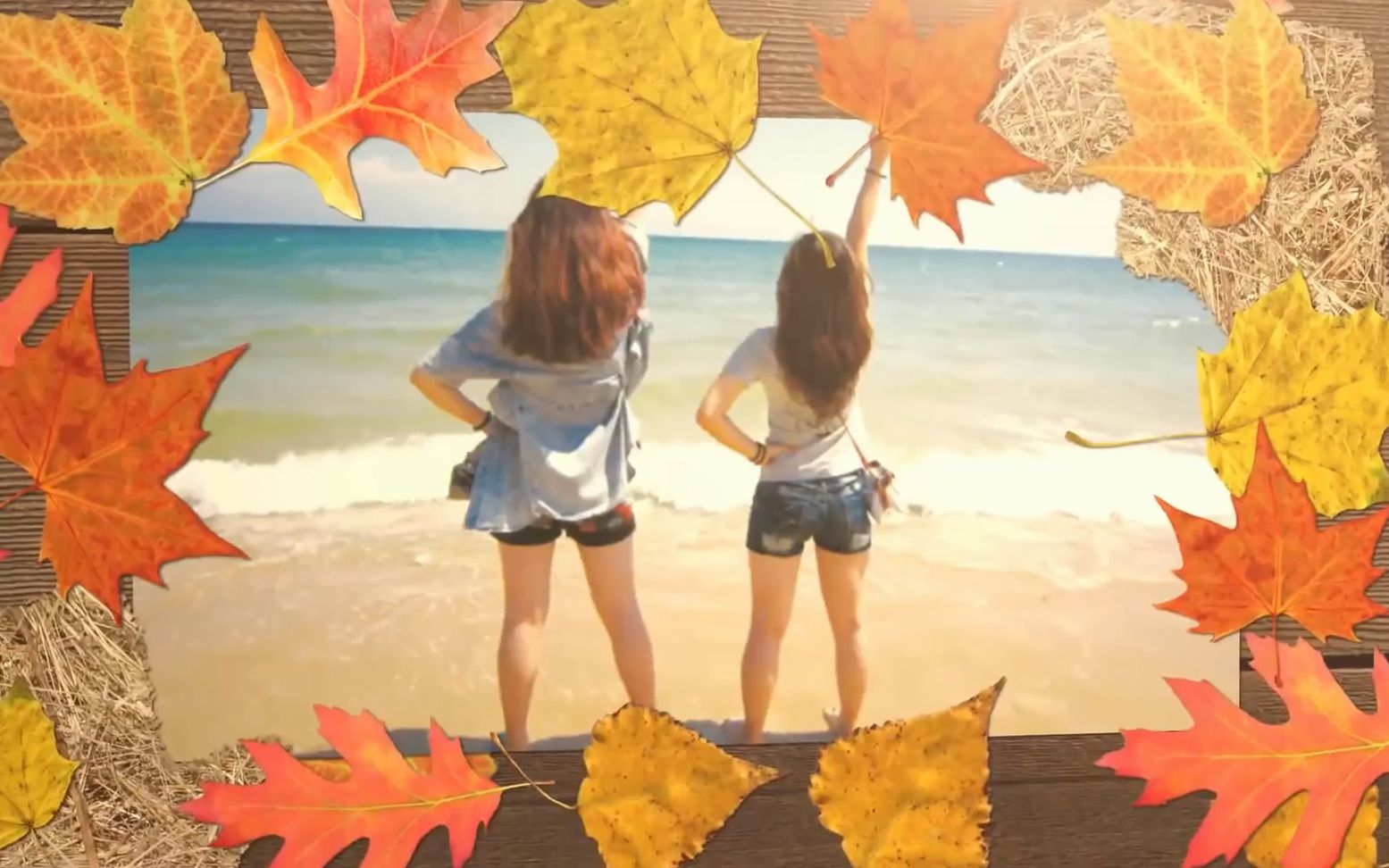 236金黄枫叶边框温情秋日回忆同学聚会开场视频片头ae模板动态视频 ...