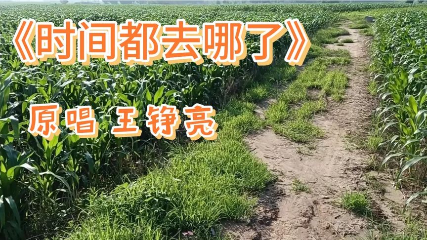 《时间都去哪了》没等年轻就老了,听着就让人泪目