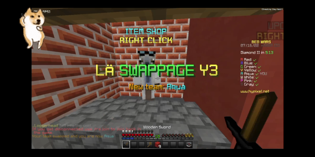 我的世界/这npc好丑