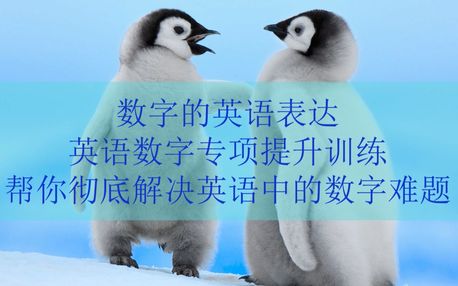 ...训练】最全面的零基础英文数字教学,帮你彻底解决英语中的数字问题!