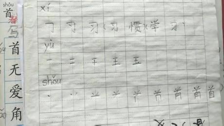 人教版一年级语文下册 小池 学习正确书写汉字和拼音 第一课