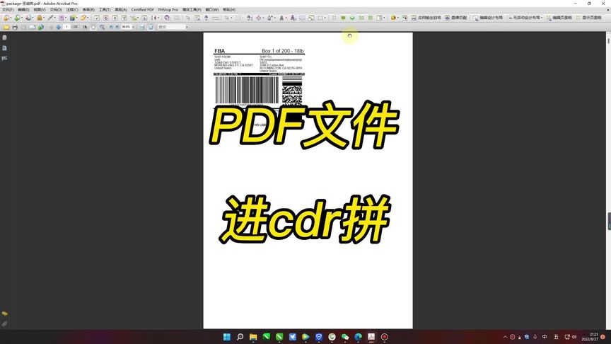 #coreldraw #cdr插件 #魔镜插件 #PDF拼版