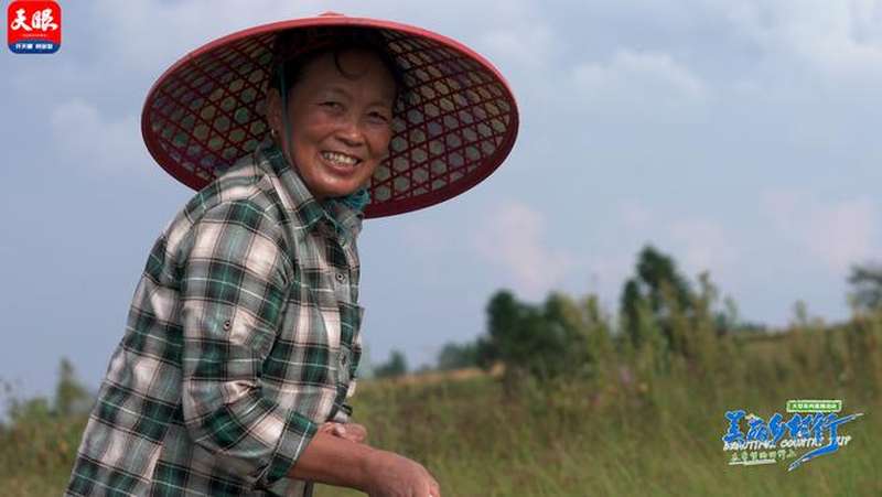 美丽乡村行|独山县紫林山村:小野草变致富宝 村民收入翻了16倍