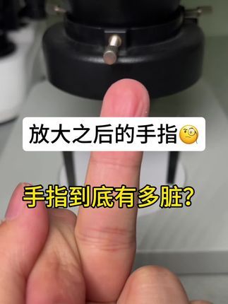 显微镜下的手指头有多脏? #实验室日常 #科普一下 #微观世界 #食品...
