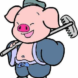 爱嫦娥的猪八戒 