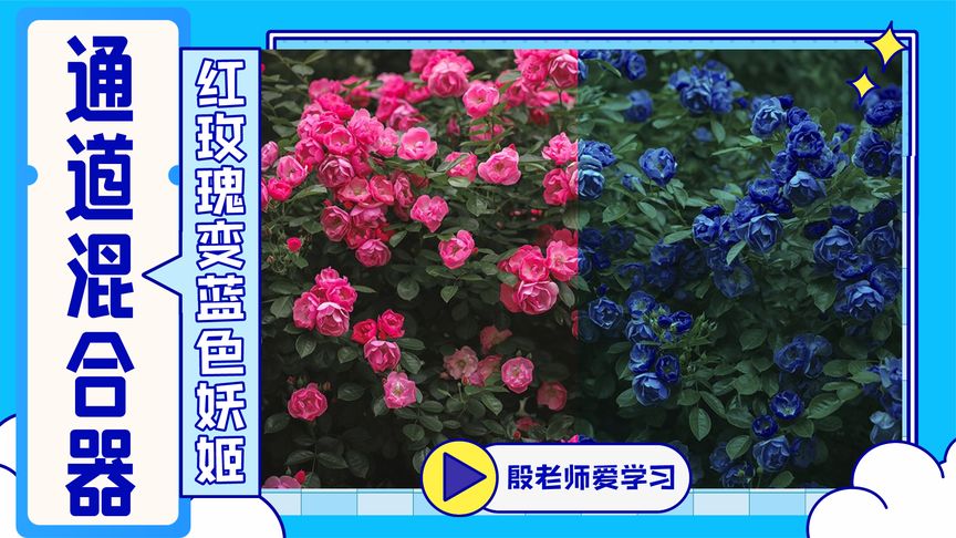使用PS通道混合器/摄影后期调色/红玫瑰秒变蓝色妖姬/通道原理