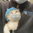 已退，别再回复我了，都是黑历史ߘ 