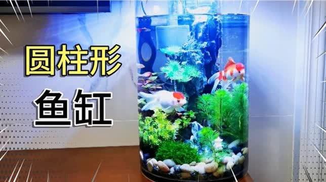 新手鱼友第一次开缸,像玻璃杯的鱼缸,你们觉得怎么样?