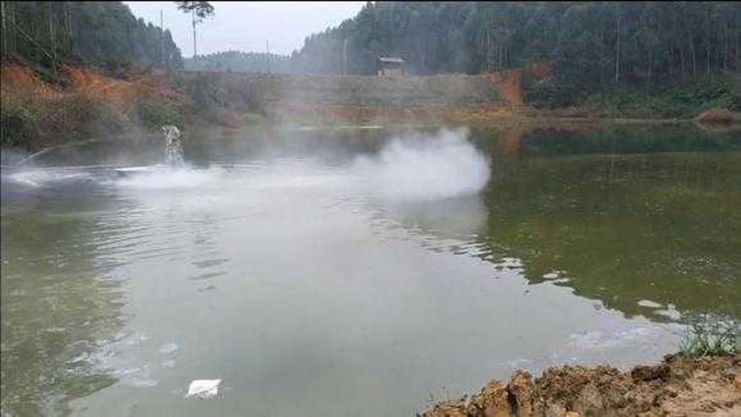 养殖户十亩鱼塘买了400斤石灰给鱼塘全面消毒,期待明年有好收获