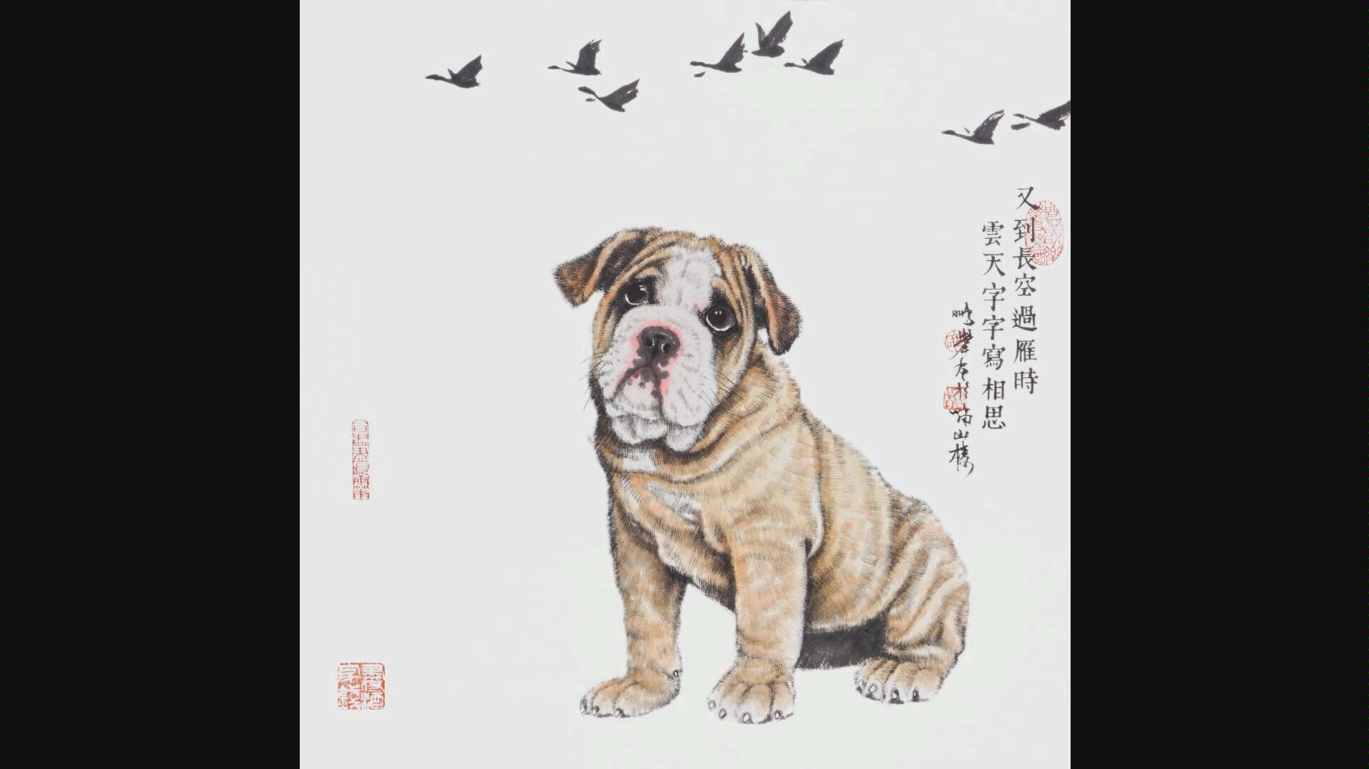 【国画动物】沙皮狗的绘画过程