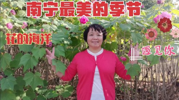 秋冬时节南宁哪里的景色最宜人?