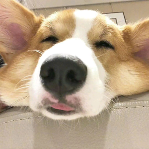 冬冬视频音乐编辑 