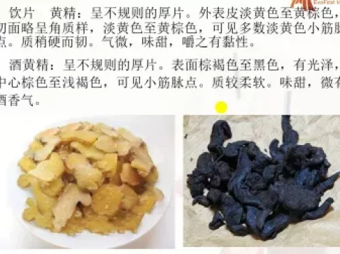 中药药一 第八章 根及根茎6