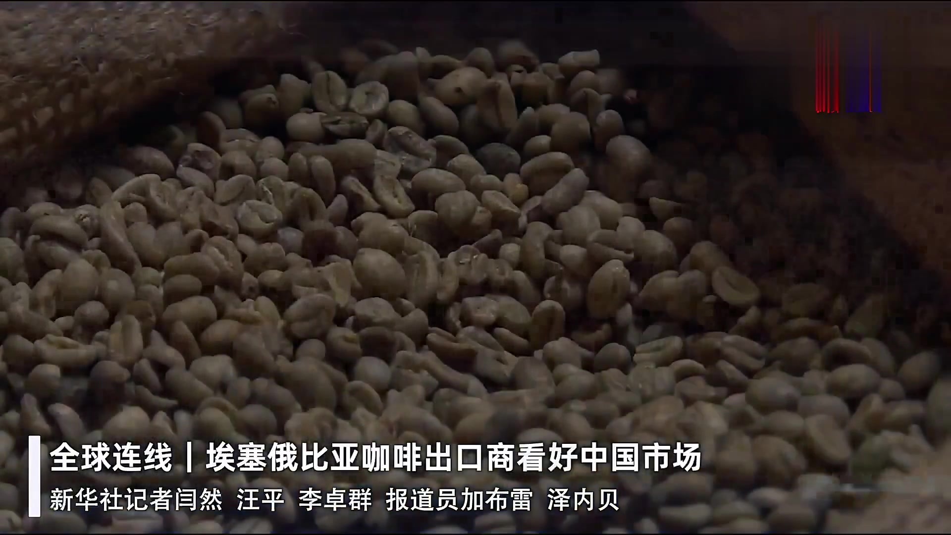 全球连线|埃塞俄比亚咖啡出口商看好中国市场