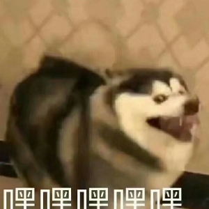 Var_da-da-da 