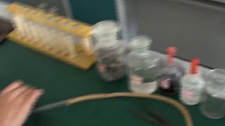 实验3二氧化碳的制取和性质