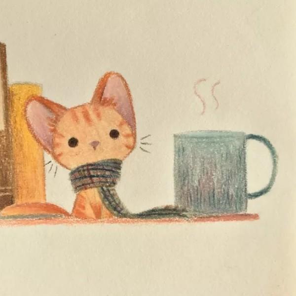 家里闲不住的猫 