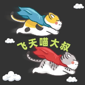 飞天喵大叔 